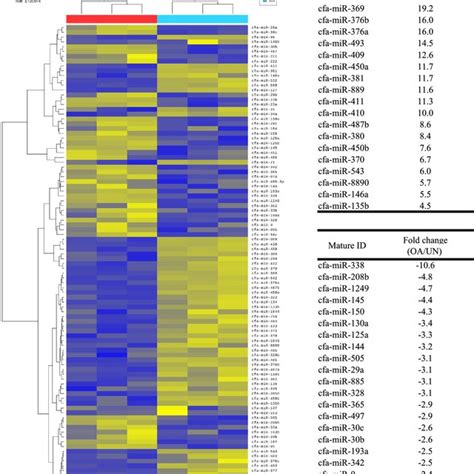 Heat Map Of The One Way Hierarchical Clustering Using Z Score For