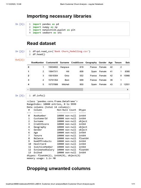 bank customer churn analysis jupyter notebook pdf teaching