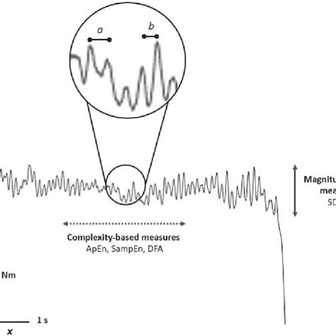 visual representation of an isometric force signal during a knee