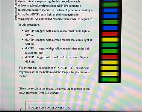 Solved 텅 ﻿dye Dye Terminator Sequencing In This Procedure