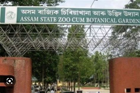 Assam 97 Domestic Animals From Assam State Zoo Transferred To Other