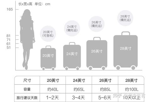 自费3w 实测20款行李箱，2023全网超硬核行李箱选购攻略！有哪些拉杆箱 行李箱 旅行箱推荐，新手速成老司机！（5月新更！） 知乎