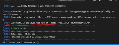Output Message Not Clear When Set Deploymenttype To None In Web App