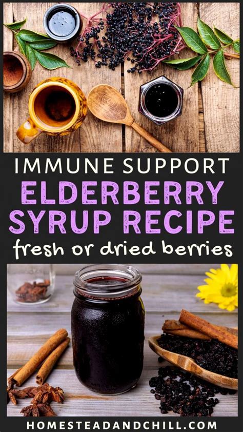 Elderberry Syrup Recipe Artofit