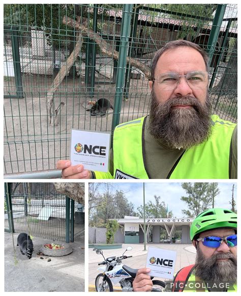 Basta Con M De Marco El Mapache Rodando Rutas Magicas