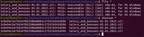 An In Depth Look At The Emotet Botnet