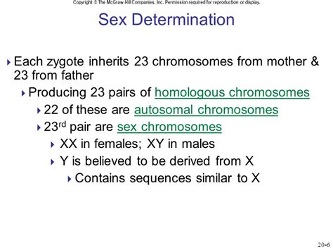 Chapter 20 Reproduction Ppt Download