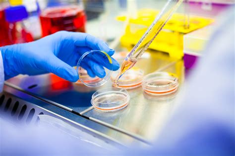 Liver Stem Cell Research Discovers A New Methodology For