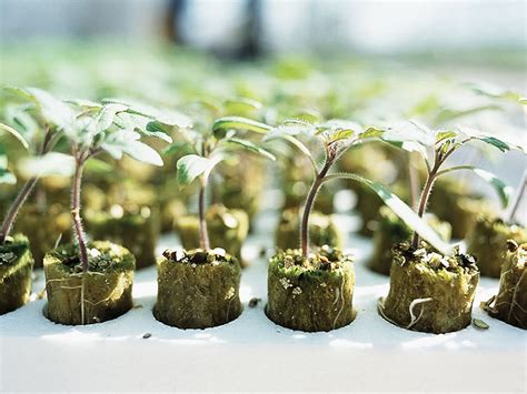 Хувьцаа Эзэмшигчдийн Ээлжит хурал зохион байгууллагдлаа Монгол Базальт ХК