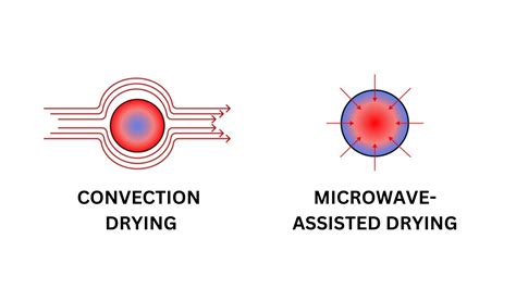 Microwave Drying Vs Convection Drying An Overview