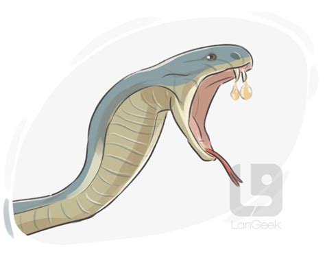 Definition And Meaning Of Venomous Langeek