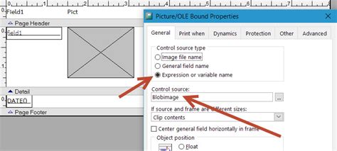 เกษม กมลชัยพิสิฐ vfp display base64 image