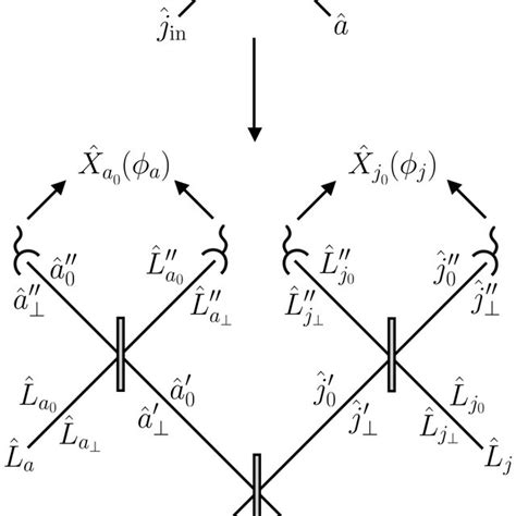 Circuit Diagram Of The Homodyne Detection Scheme ˆ Jin Andâ Andˆandâ