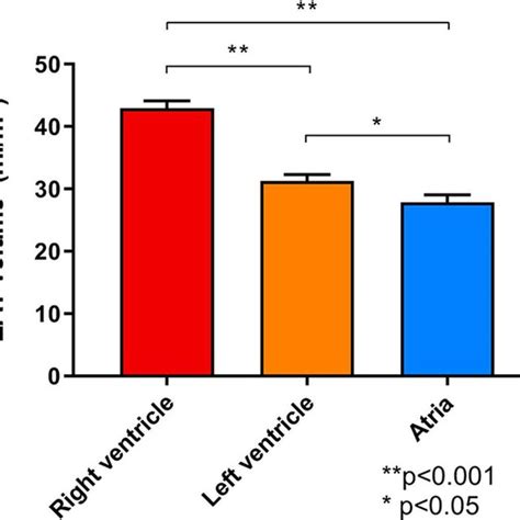 Typical Example Of Epicardial Adipose Tissue Eat Distribution Around Download Scientific