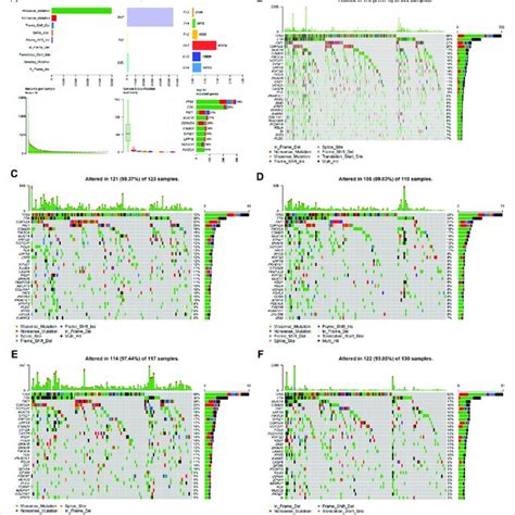 Visualization Of Mutation Profiles A Classification Of Mutation