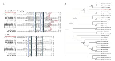 Ptilp Multiple Sequence Alignment And Phylogenetic Analysis A