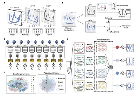 Nature Machine Intelligence丨基于dna调控电路的分子卷积神经网络 企业官网