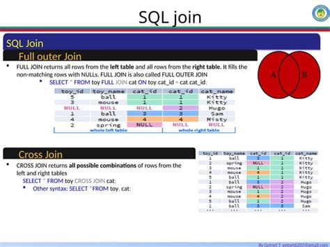Fundamentals Of Database Management System Lab Manualpptx