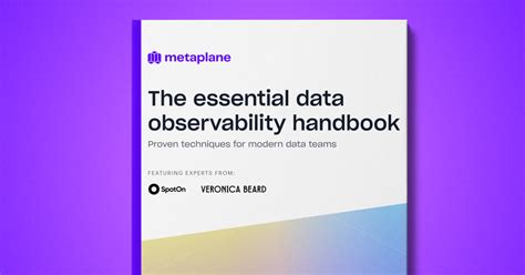 The Essential Data Observability Guide Metaplane