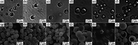 Optical Micrographs A F And Fesem Micrographs G L Of