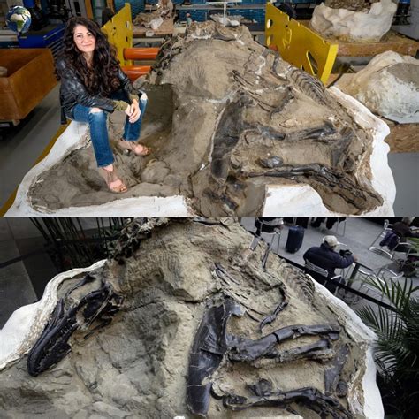 Ultimate 🦖 The Giant Reawakened The Largest T Rex Ever Found In