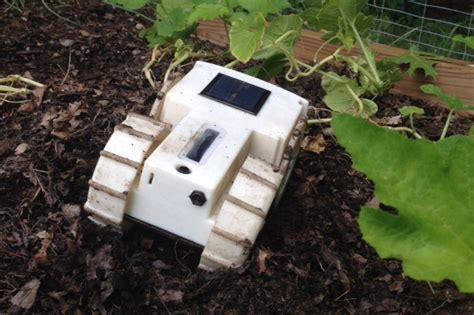 Garden Care Using A Robot Garden Weeder Crown Round Table