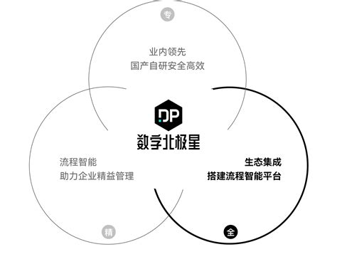 数字北极星北极星流程智能平台数据可视化工具软件流程管理系统软件 望繁信流程智能服务商