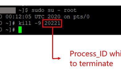 How To Kill Processes In Unix Linux DZone