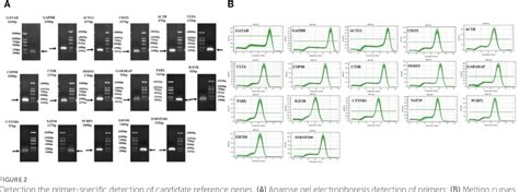 Figure 2 From Transcriptome Based Selection And Validation Of Optimal