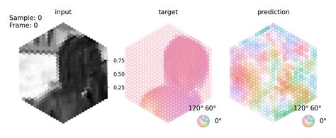 Train The Network Flyvis Documentation
