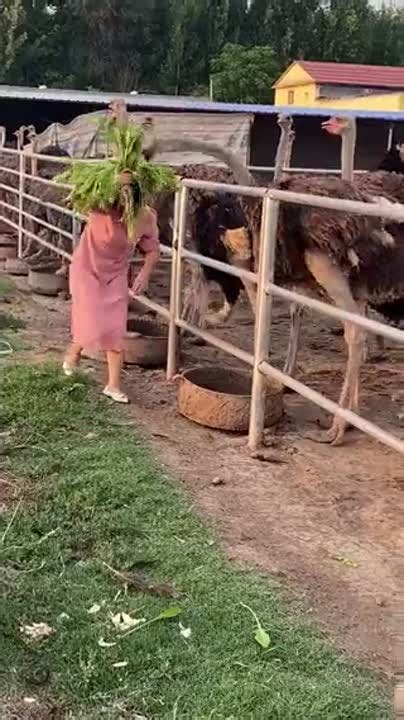 Goodluck Nwoko Posted On Linkedin