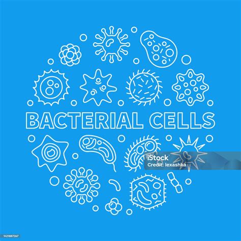 Bacterial Cells Round Vector Concept Outline Illustration Stock Illustration Download Image