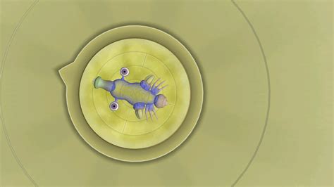 I Have Managed To Access The Hidden Cell Editor And Started Creating