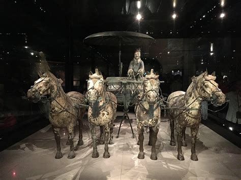 2024我们参观的铜马车，兵马俑1，2，3号坑，1号坑真壮观，震撼 秦始皇帝陵博物院 兵马俑 评论 去哪儿攻略