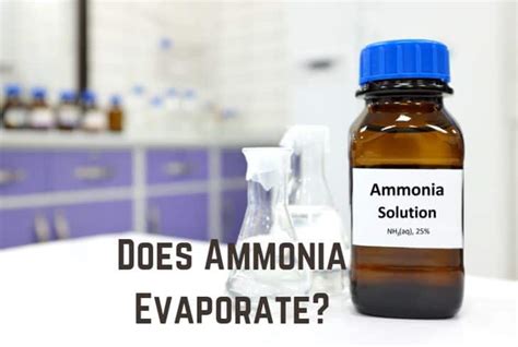 Does Ammonia Evaporate Answered Earth Eclipse