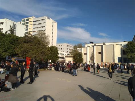 Μαυρος γατος Κόκκινη γατα Μαυρος γατος Κόκκινη γατα