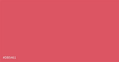Db5461 Hex Color Shades And Complementary Colors