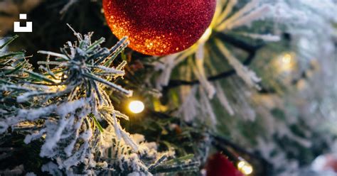 녹색 크리스마스 트리에 빨간 값싼 물건과 조명이 켜진 스트링 조명의 매크로 사진 사진 Unsplash의 무료 크리스마스 이미지