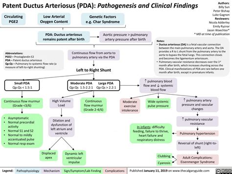Patent Ductus Arteriosus Pda Pathogenesis And Clinical Findings
