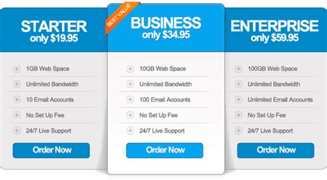 Website Hosting Coast Internet Publishing