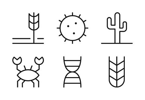 Nature Icons By Andrejs Kirma Art Drawings Icon Nature