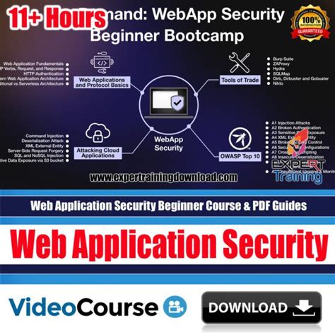 web application security testing web service security testing expert