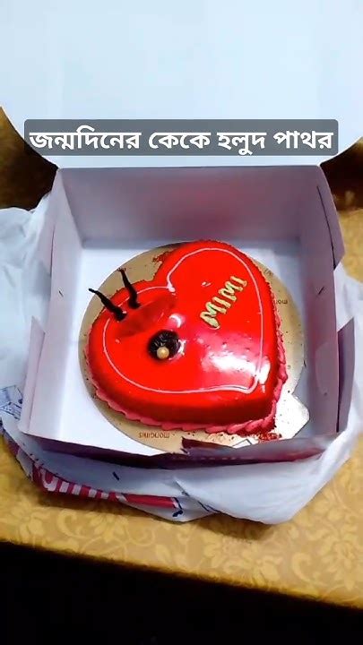 জন্মদিনের কেকে হলুদ পাথর 😱 Like Minivlog Subscribe Food Support