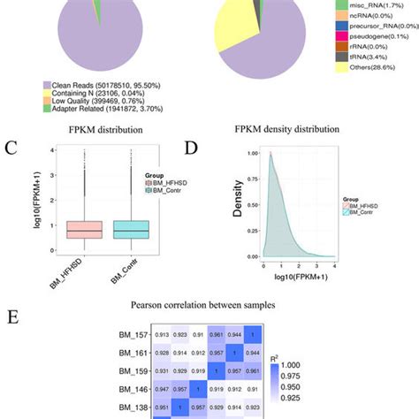 Reads And Mapping Results Of Rna Deep Sequencing A The Quality Of Download Scientific