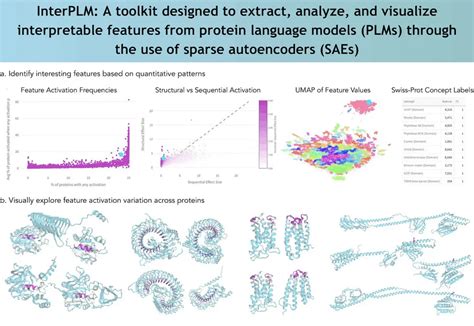 Can Interplm Decode The Hidden Language Of Protein Modeling And Design