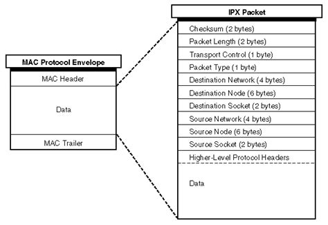 DIAGRAM Ip Packet Diagram MYDIAGRAM ONLINE