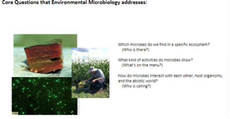 Module 11 Introduction To Environmental Microbiology Flashcards Quizlet
