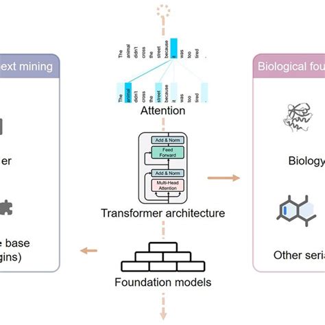 Pdf Foundation Models For Bioinformatics
