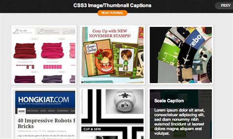 The Best Open Source CSS JQuery Image Captions Speckyboy