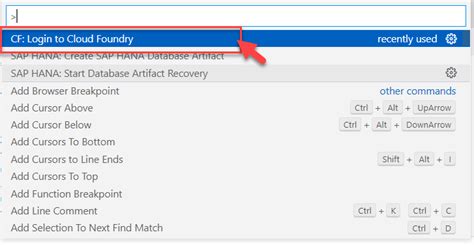 Efficient Sap Hana Development With Sap Cap
